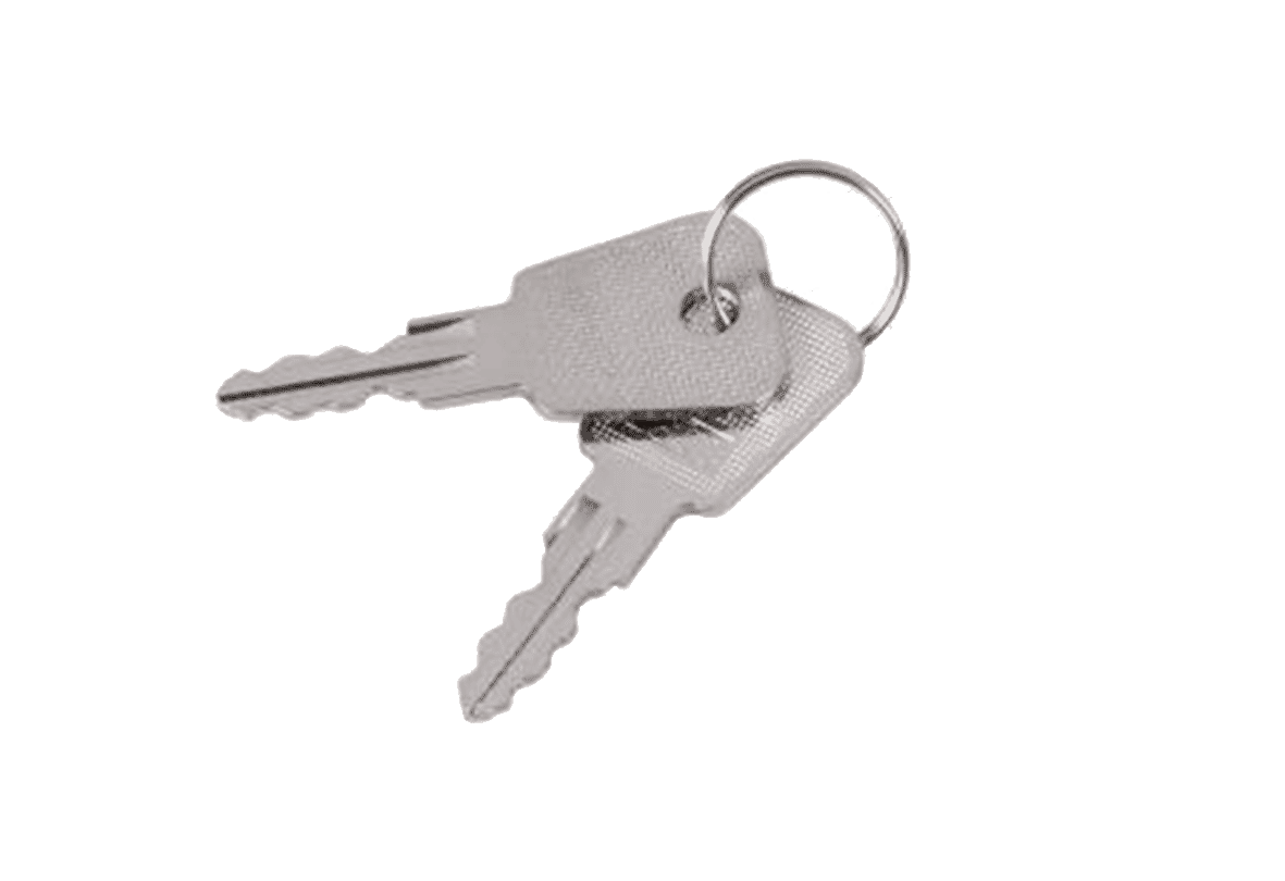 RGL A126-KEY A126 Key for Key Switches (Pack of 2)